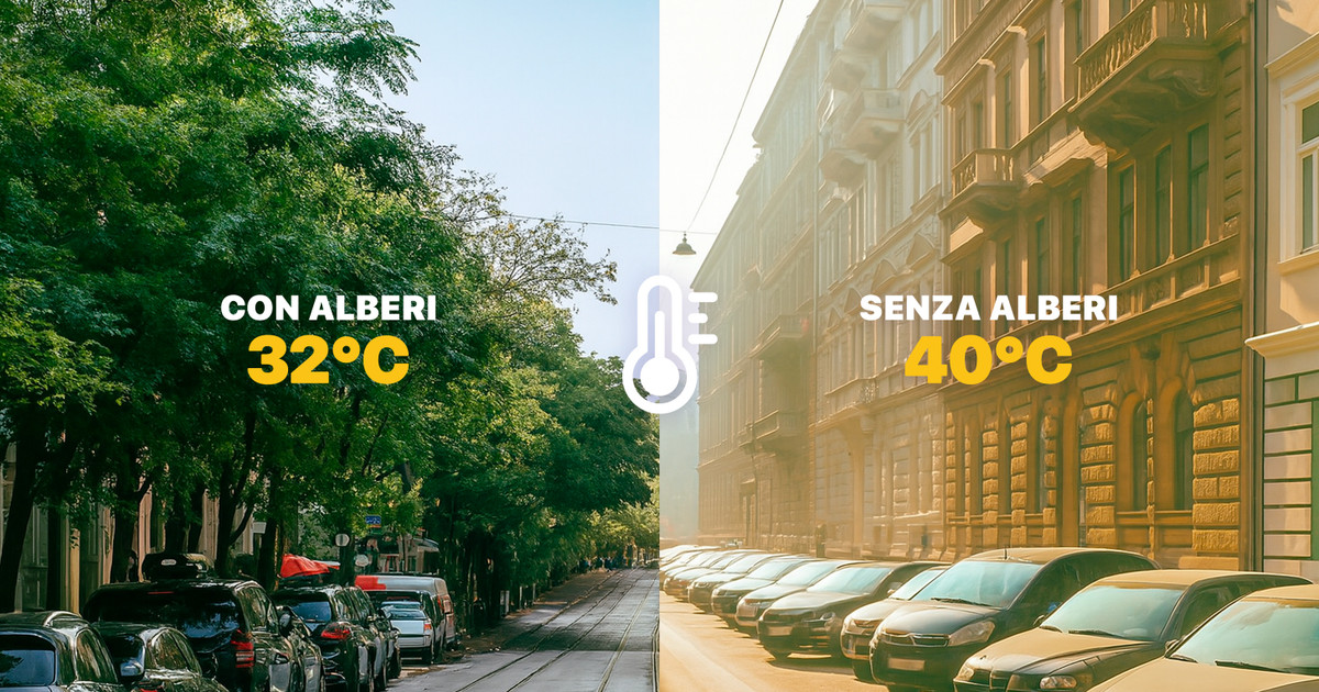 Dieci gradi in meno grazie al verde urbano, ecco perché piantare alberi ...