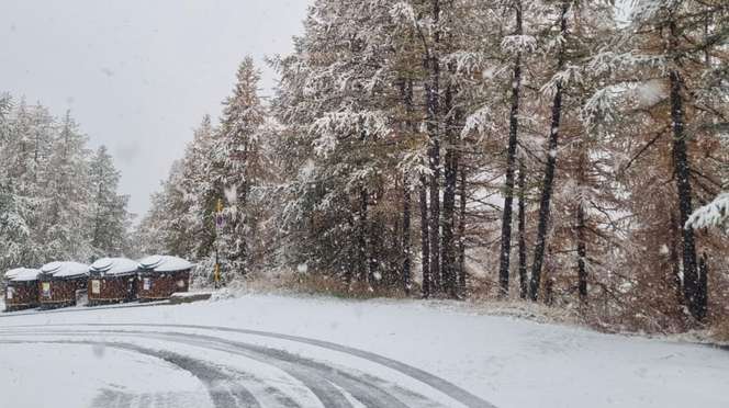 Meteo, NEVE eccezionale in Romagna con oltre 15 cm: disagi e blackout ...