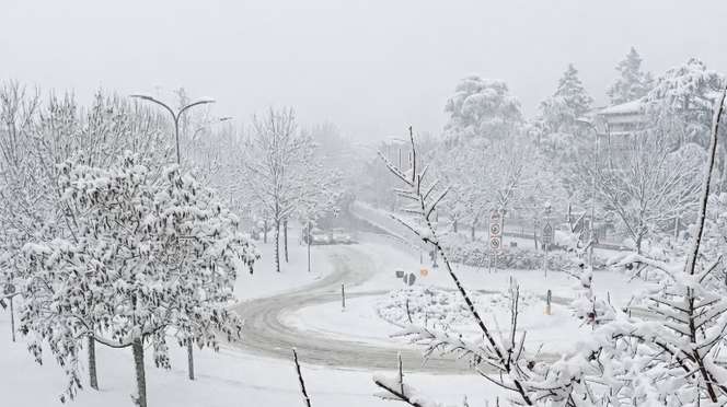 Meteo, NEVE eccezionale in Romagna con oltre 15 cm: disagi e blackout ...