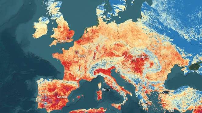 Dieci gradi in meno grazie al verde urbano, ecco perché piantare alberi ...