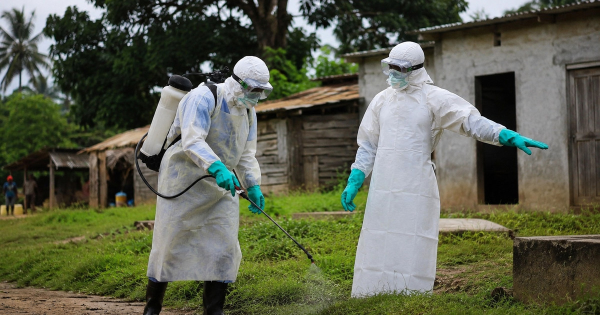Ebola in Congo e Uganda, l’OMS dichiara l’Emergenza Globale: cresce l ...